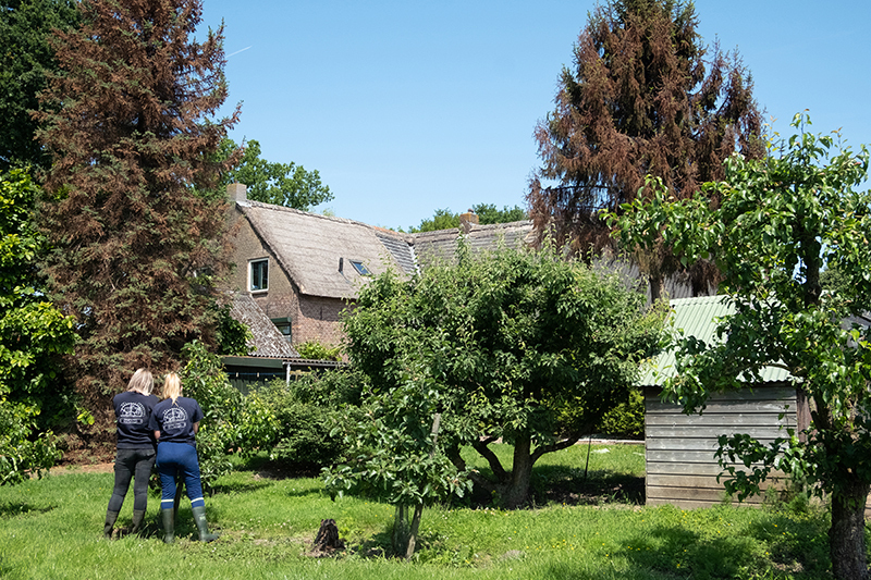 Zorgboerderij Ons Verlangen, loc. Lakerveld
